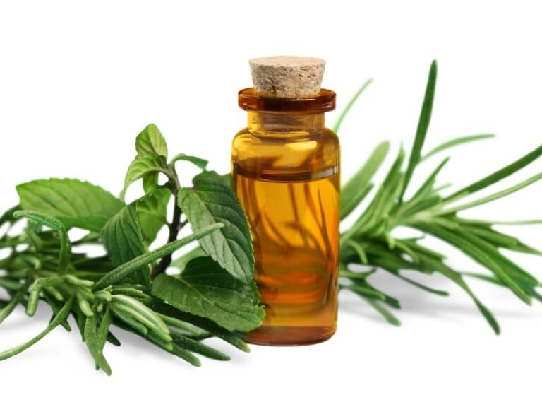 Best 9 Essential Oils For Warts: A Beacon Of Hope